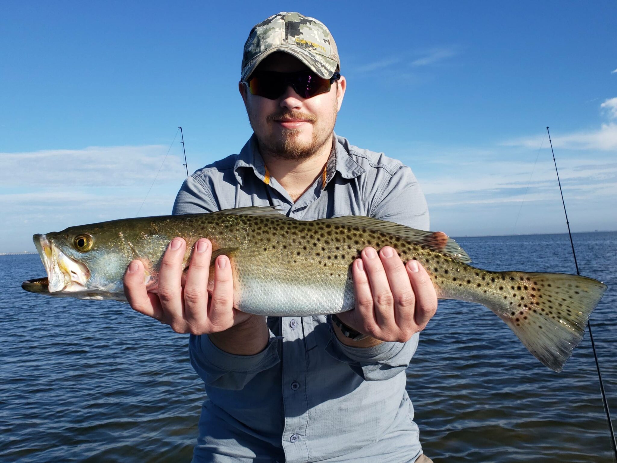 Fishing Tampa Bay Like a Pro: Tips, Species & Tactics