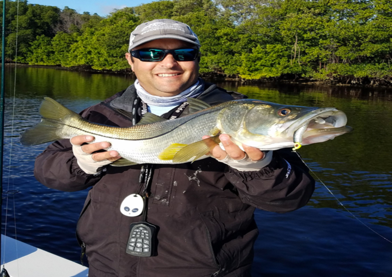 Tampa Bay Snook Fishing - Bag´Em Fishing Charters