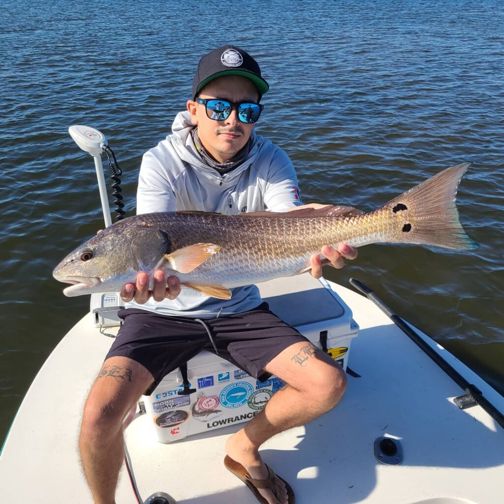 Top 5 Inshore Gamefish In Tampa - Bag´Em Fishing Charters